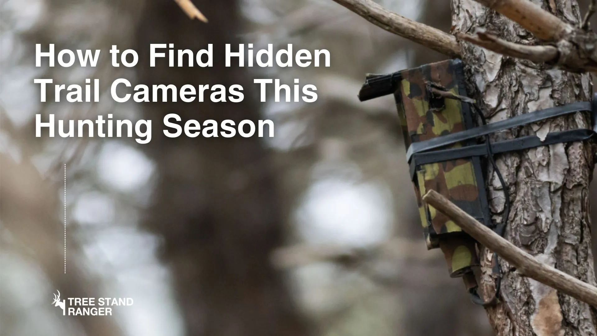 How to Find Hidden Trail Cameras This Hunting Season
